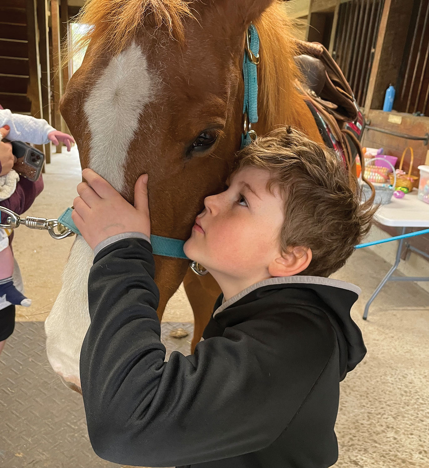 The Transformative Power of Equine-Assisted Therapy