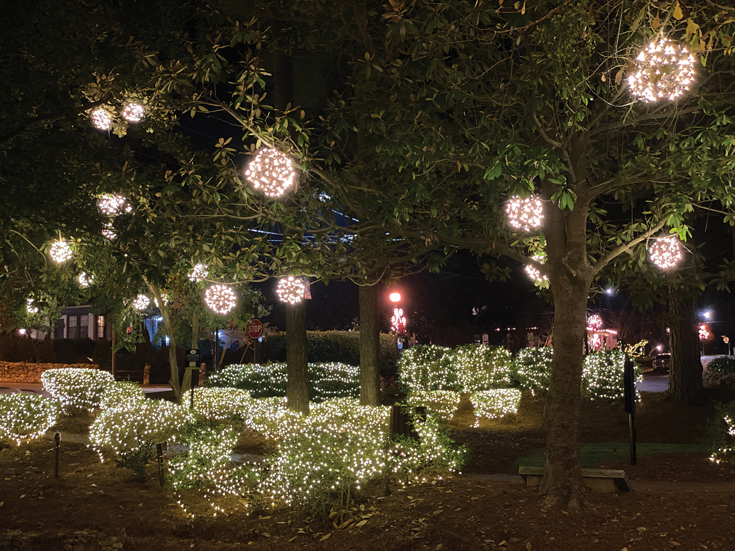 Fuquay-Varina Celebrates the Holidays - 5 West Mag